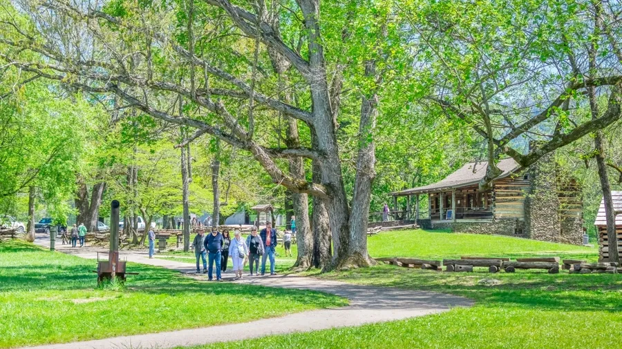 Summer bookings scarce as National Park Service reports record ...