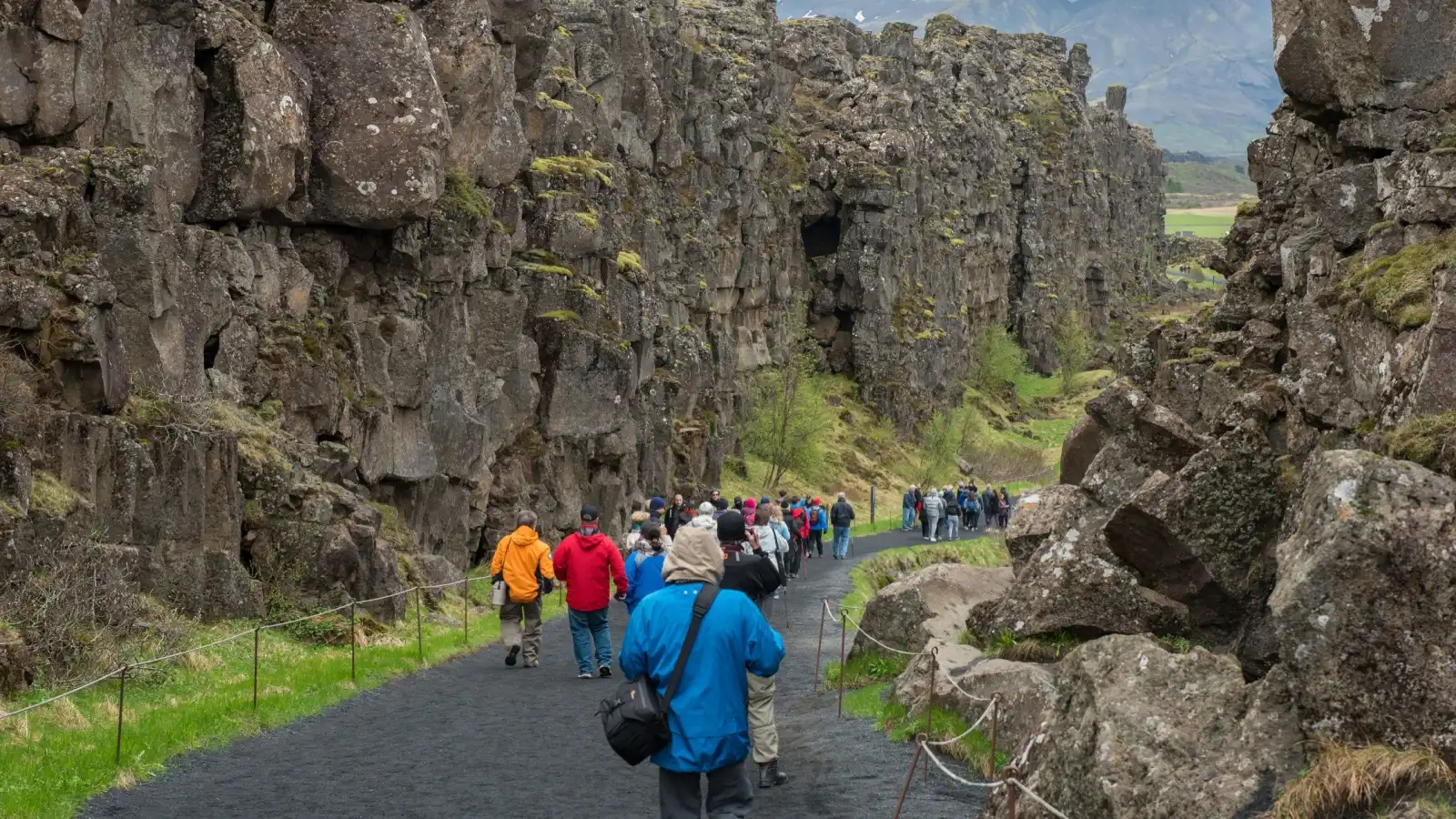 Summer bookings scarce as National Park Service reports record ...