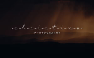 25 Free Signature Fonts for Logo Design - Colormelon