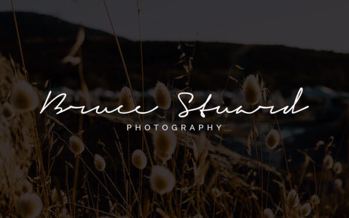 25 Free Signature Fonts for Logo Design - Colormelon