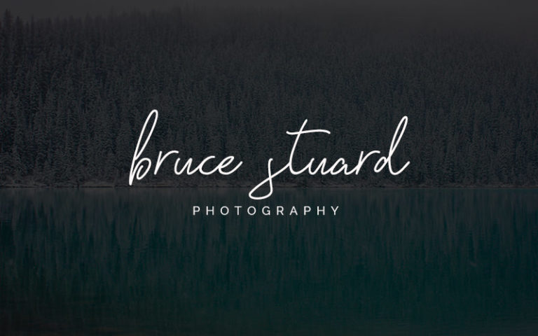 25 Free Signature Fonts for Logo Design - Colormelon