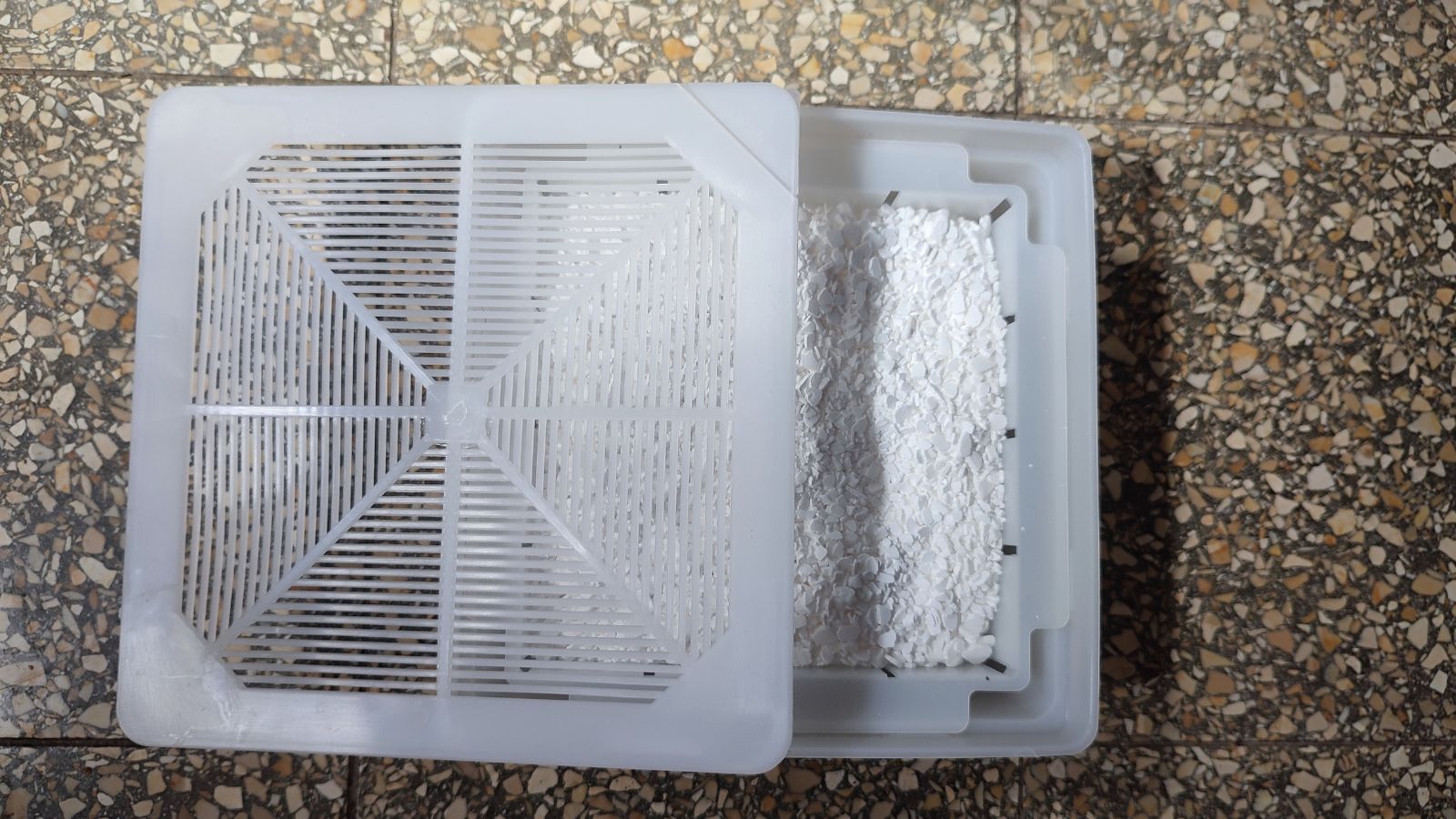 Rainy Season Ready: Waterproofing and Mold Prevention Tips - Colormelon