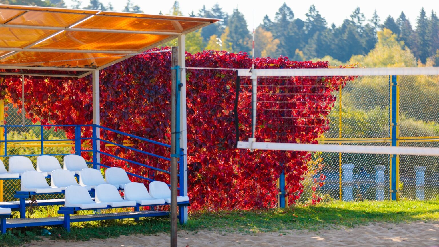 Designing the Perfect Fall Volleyball Court - Colormelon