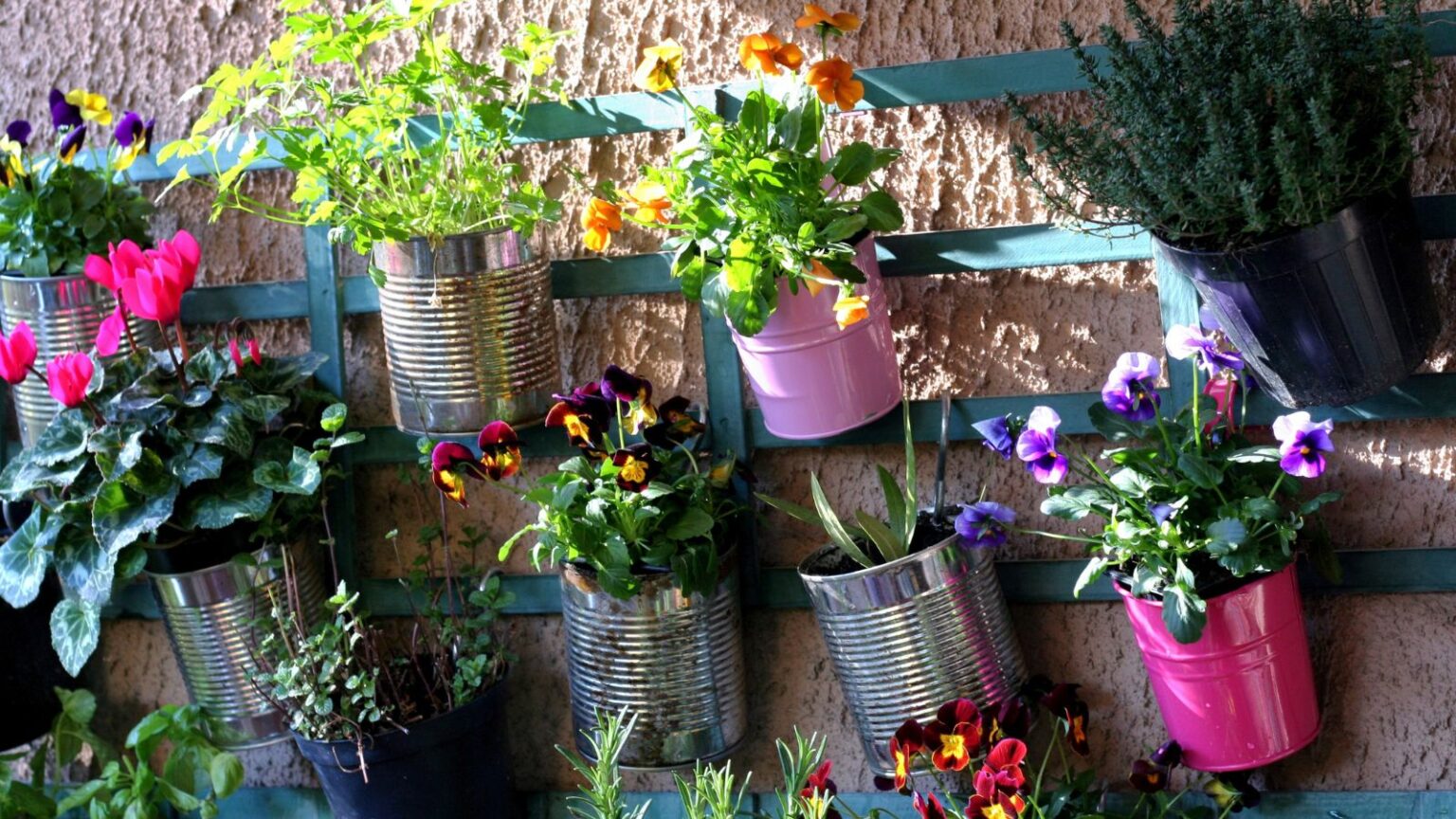 Instagram Worthy Garden Design on a Budget - Colormelon