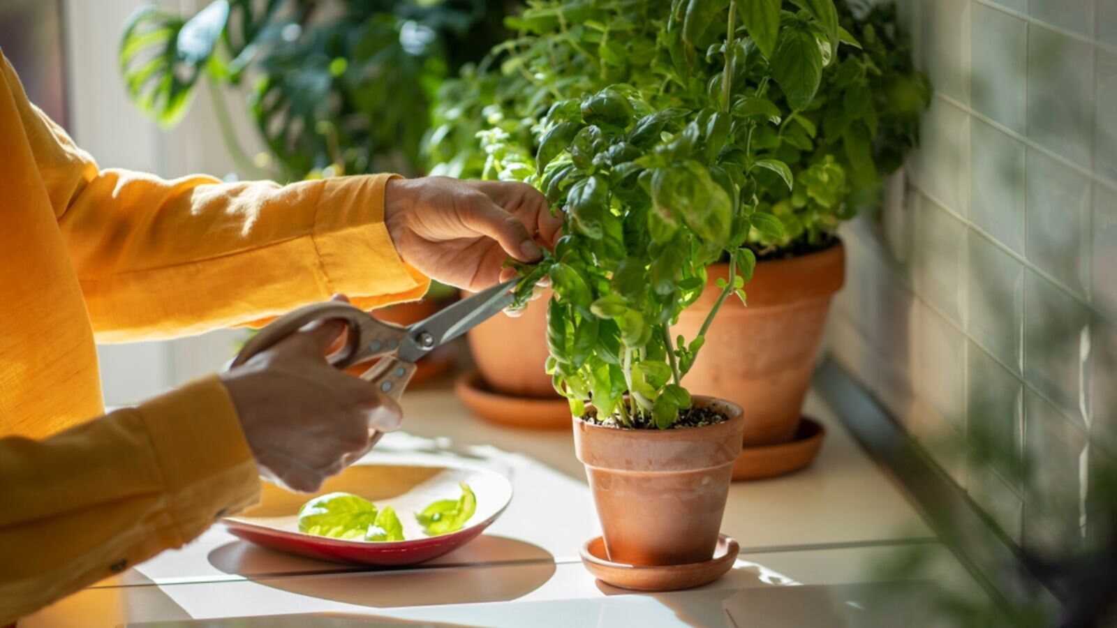 15 Functional Home Decor Ideas for Food Lovers - Colormelon