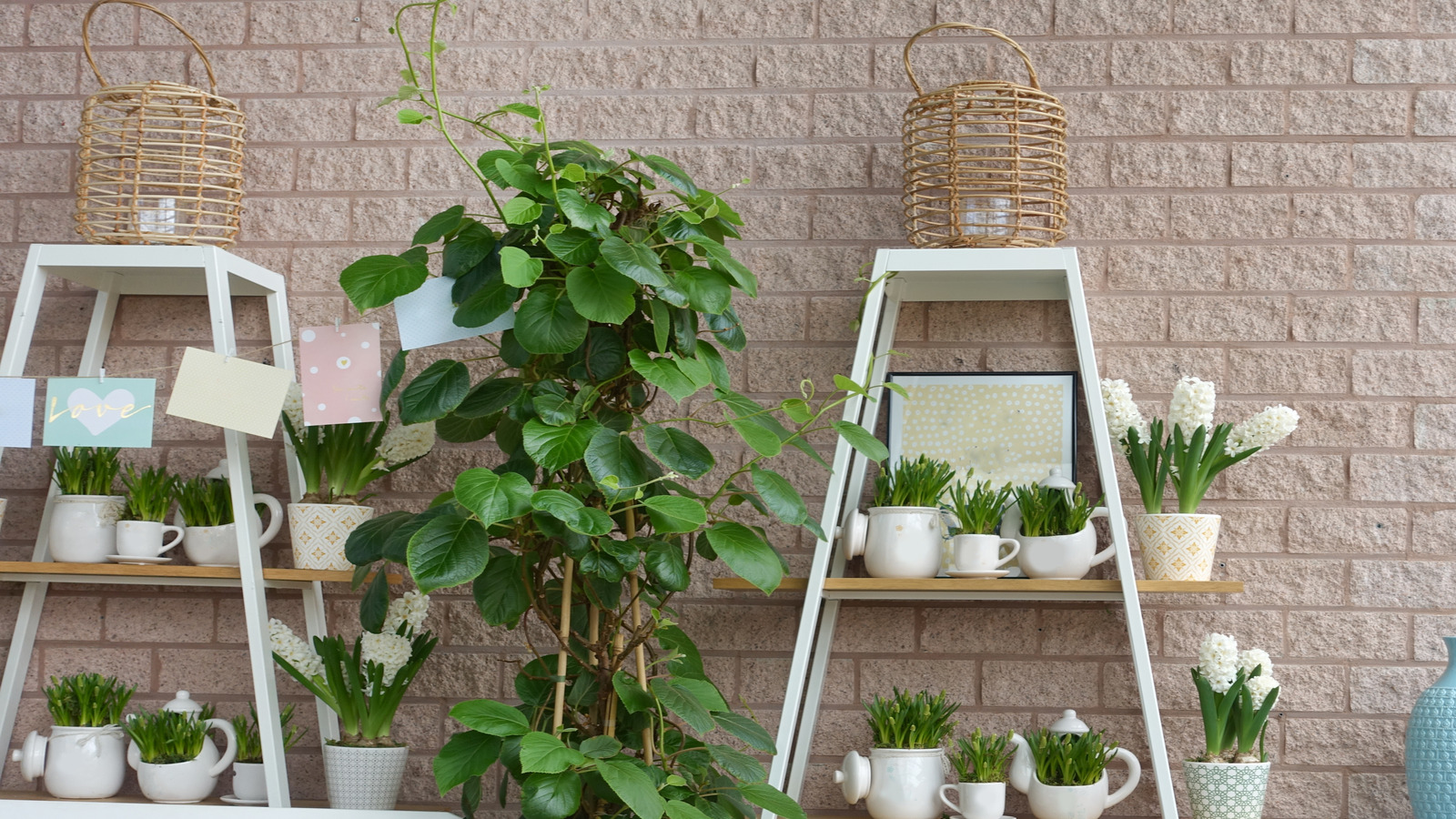 Instagram Worthy Garden Design on a Budget - Colormelon