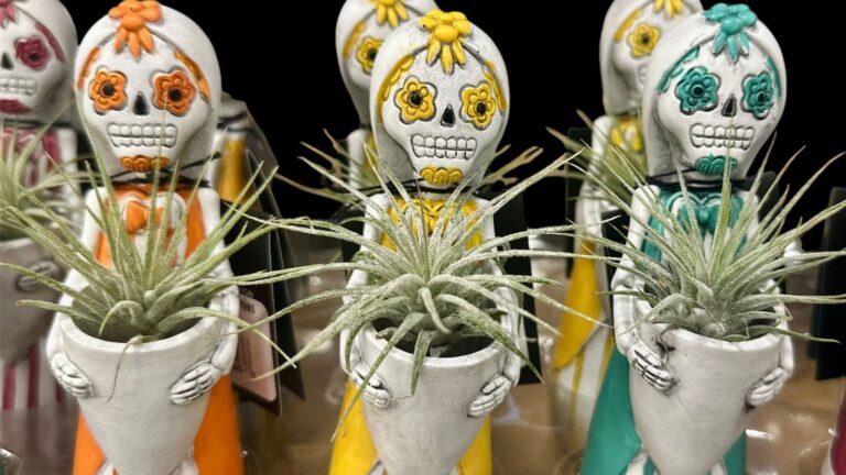 Turn Your Corridor into a Creepy Haunted Walkway - Colormelon