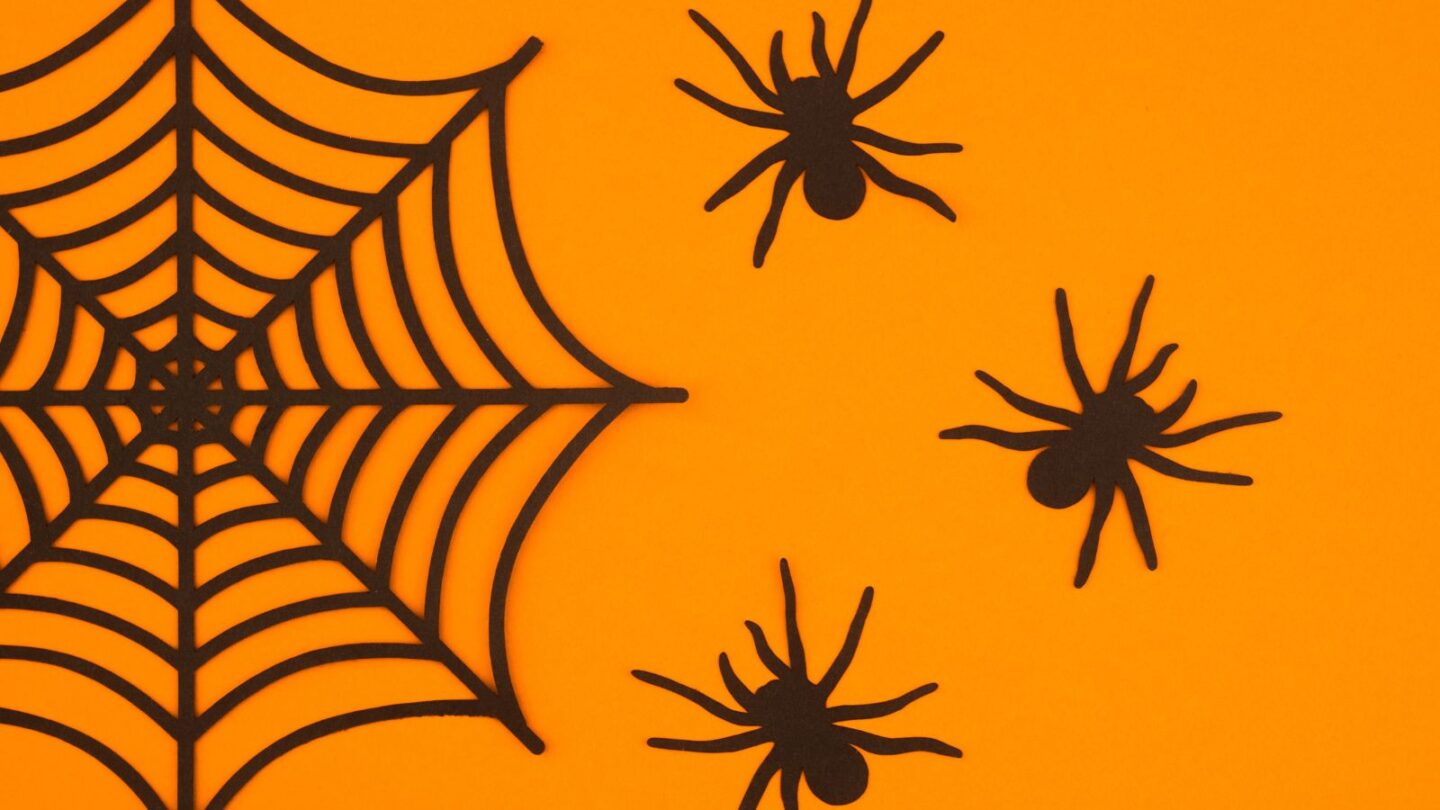 Turn Your Corridor into a Creepy Haunted Walkway - Colormelon