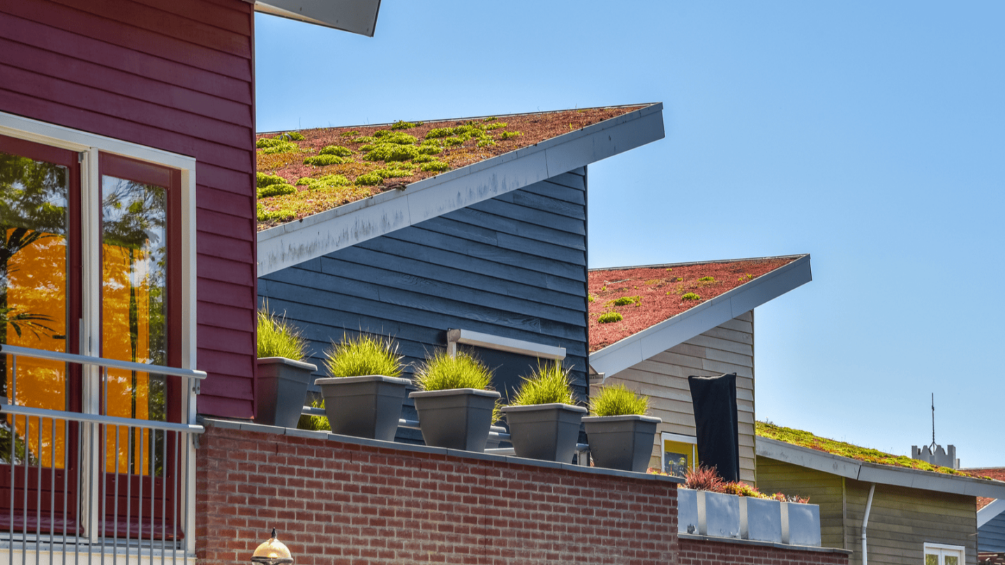 Why Green Roofs Are the Smart Modern Choice - Colormelon