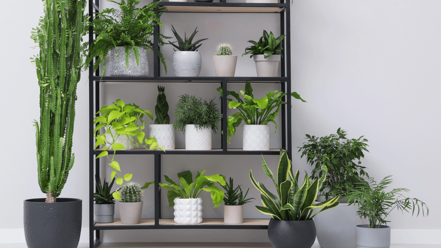 Functional and Fresh Indoor Herb Gardens as Décor - Colormelon
