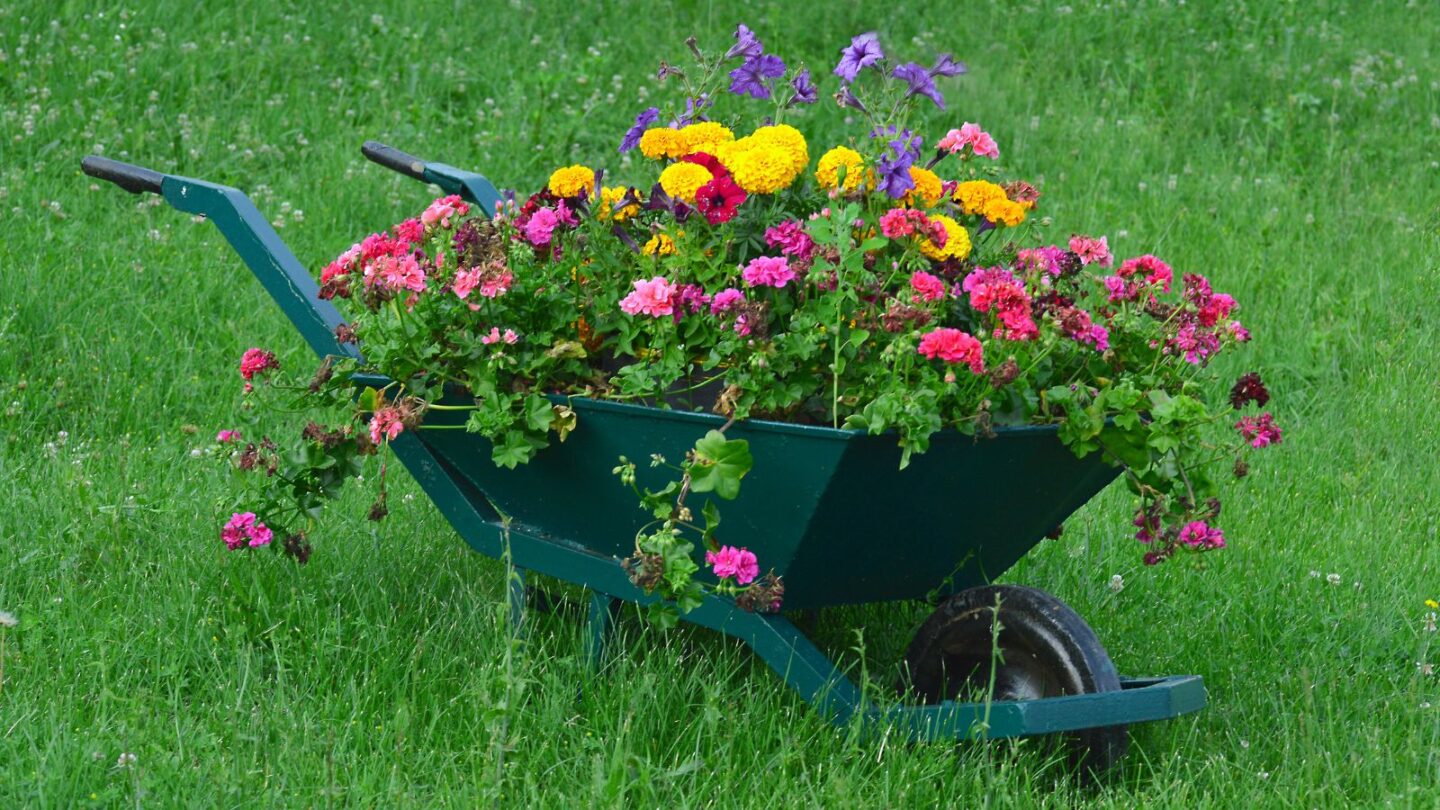 Cottagecore Fall Garden Ideas You’ll Love - Colormelon